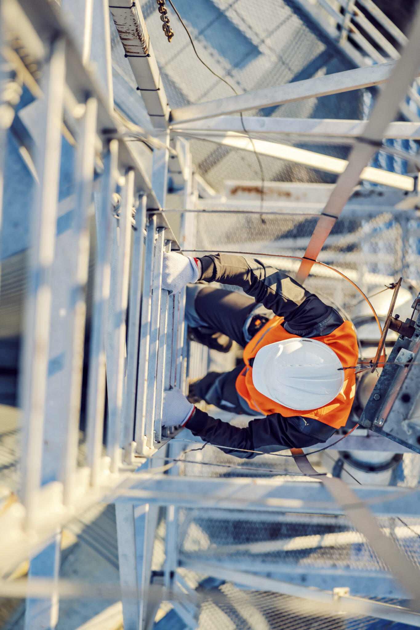 Services - Pro Shipyard DGS